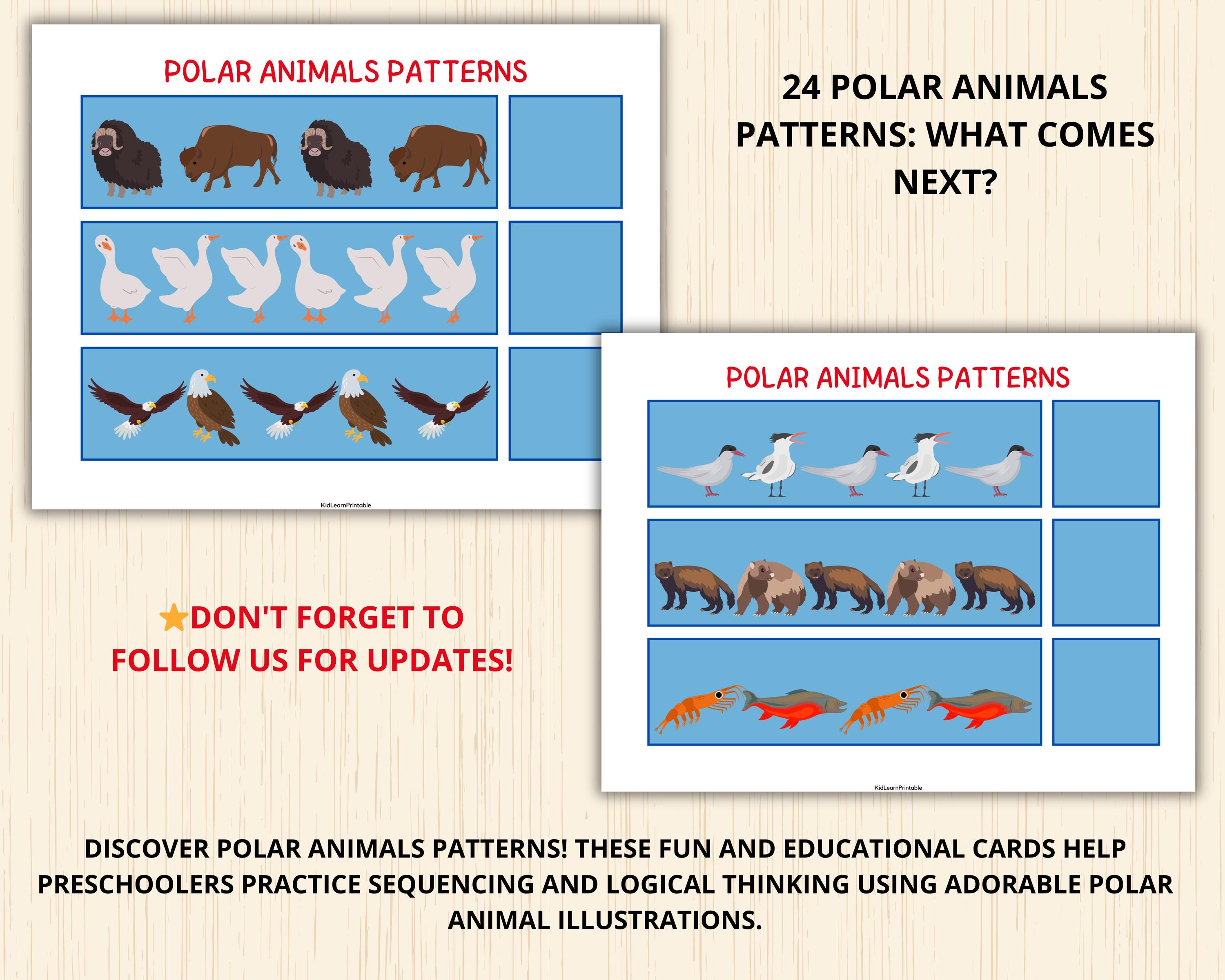 Polar Animals Patterns,ab AAB Patterns,what Comes Next,pattern Activity ...