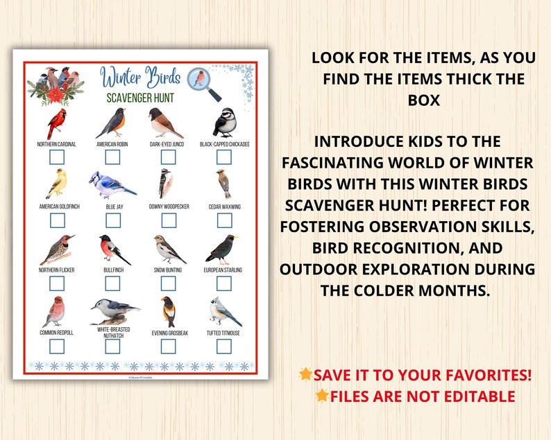 Winter Birds Scavenger Hunt,winter Birds Identification,bird Scavenger ...