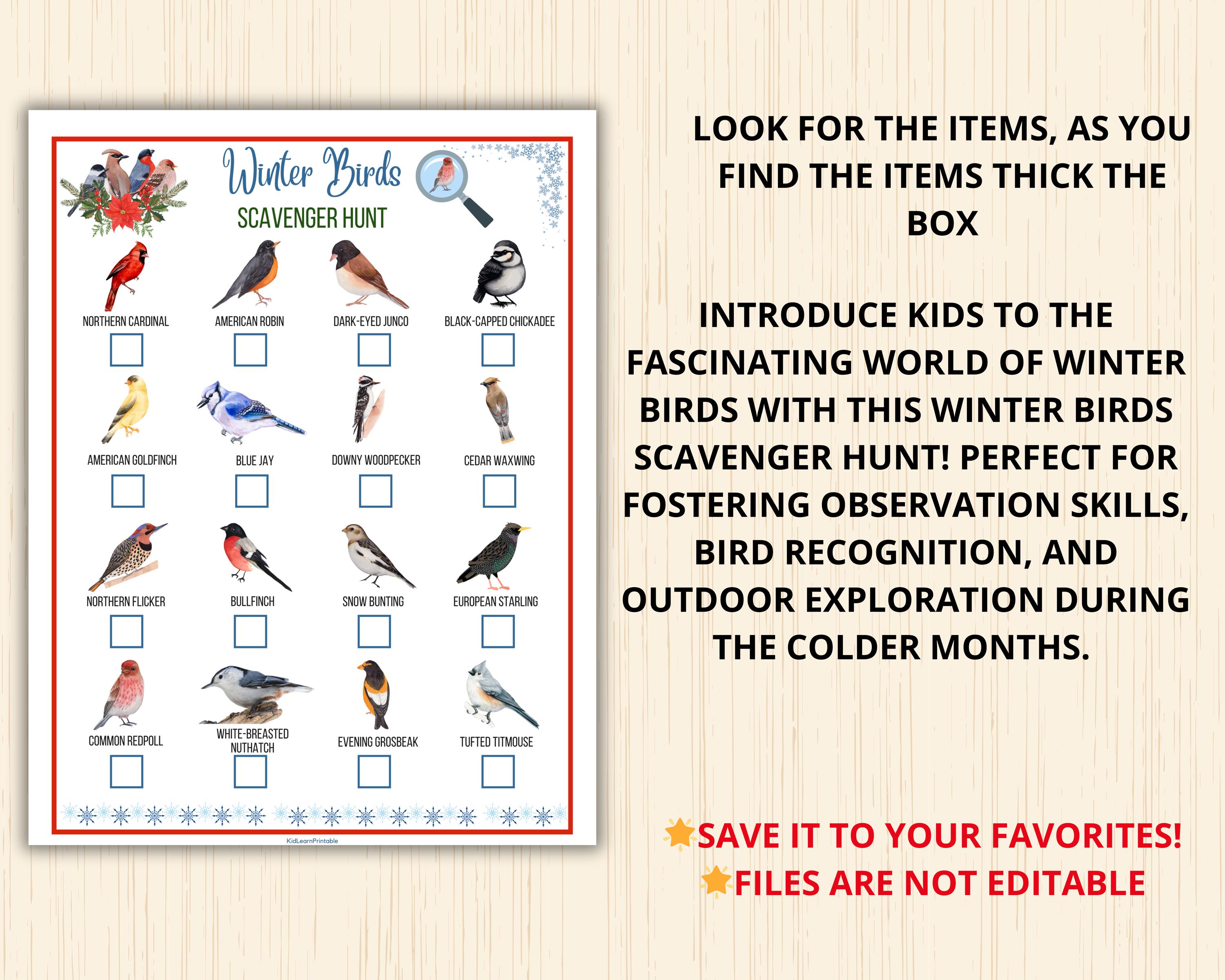 Winter Birds Scavenger Hunt,winter Birds Identification,bird Scavenger ...