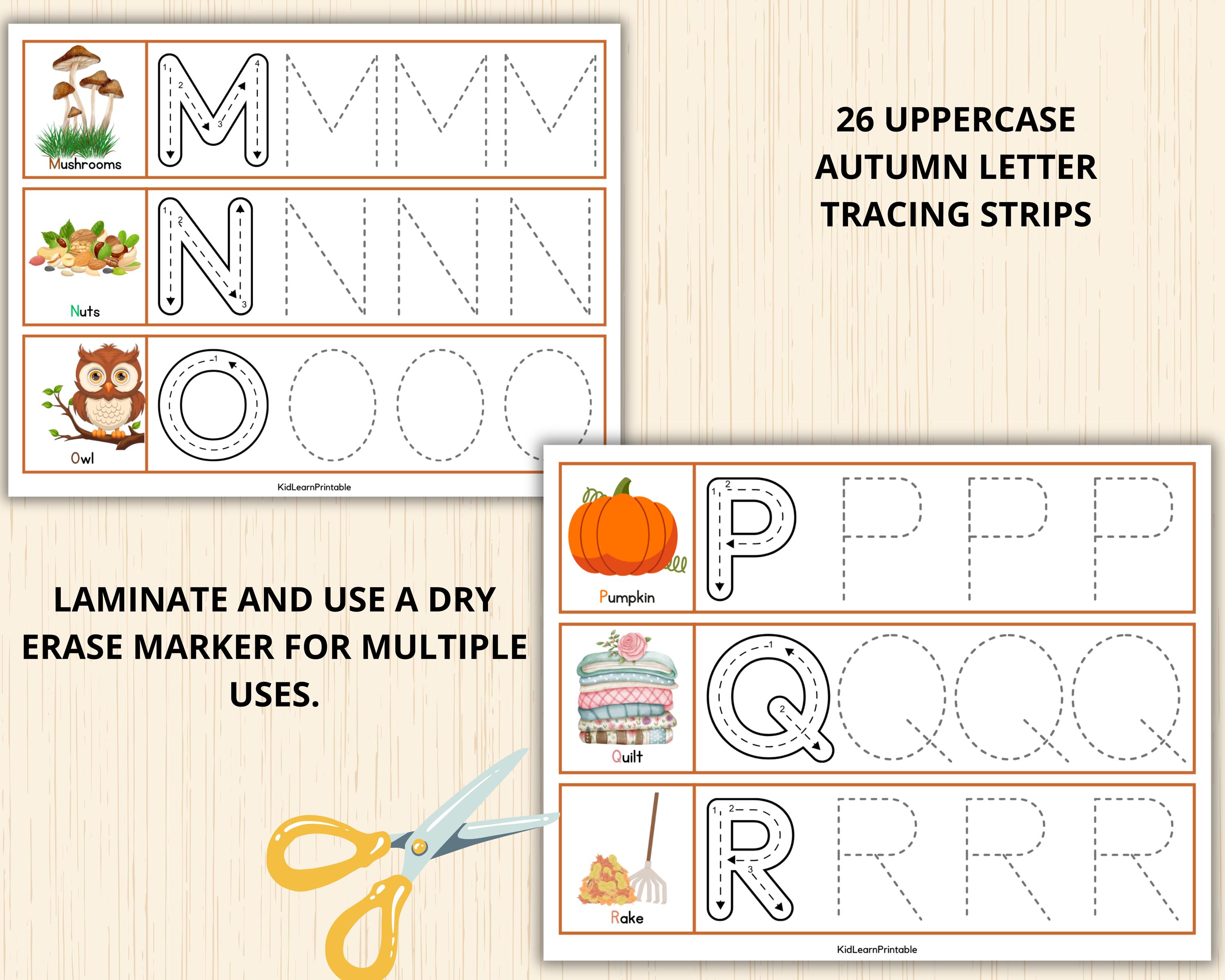 Autumn Alphabet Cards,tracing Letters,fall Letter Tracing,fall Tracing ...
