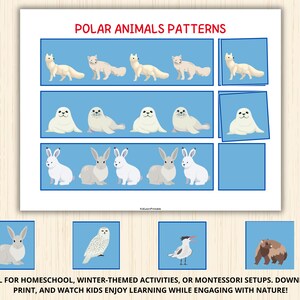 Polar Animals Patterns,ab AAB Patterns,what Comes Next,pattern Activity ...