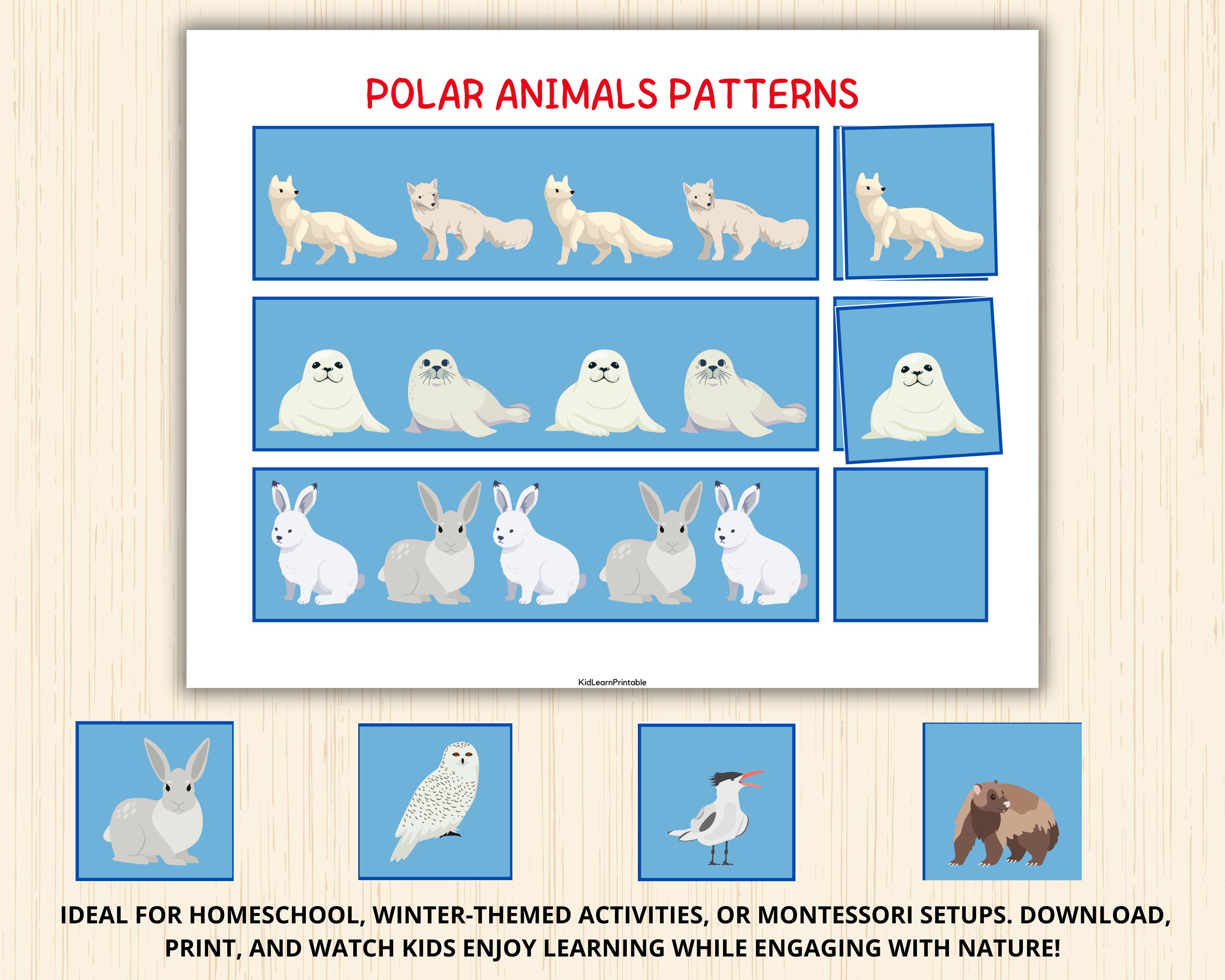 Polar Animals Patterns,ab AAB Patterns,what Comes Next,pattern Activity ...