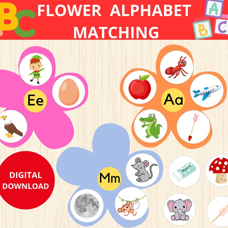 Montessori Alphabet - Etsy