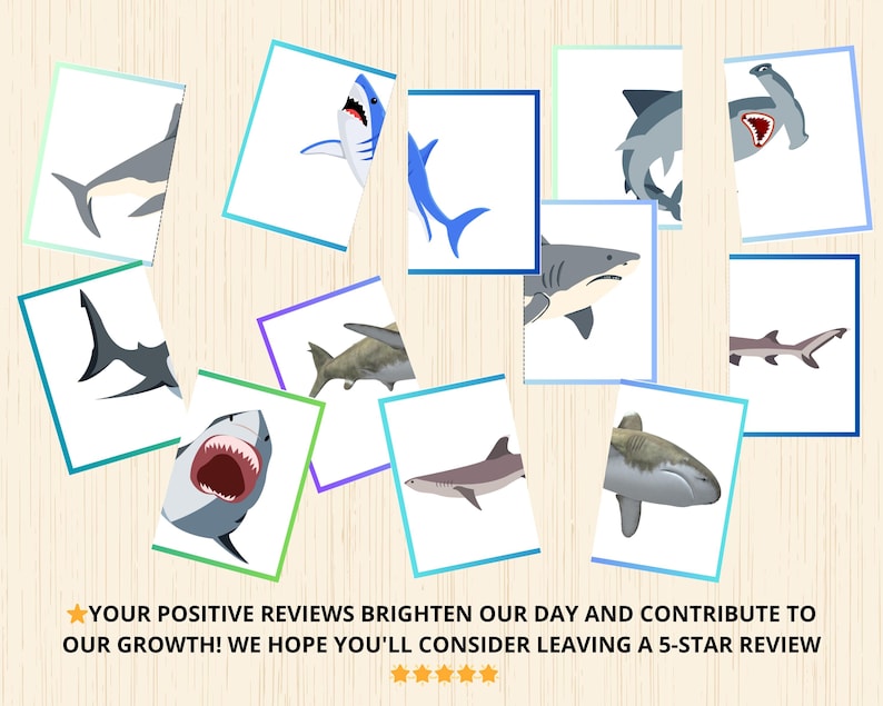 Shark Symmetry Puzzles,summer Matching Activity,visual Skills,animal ...