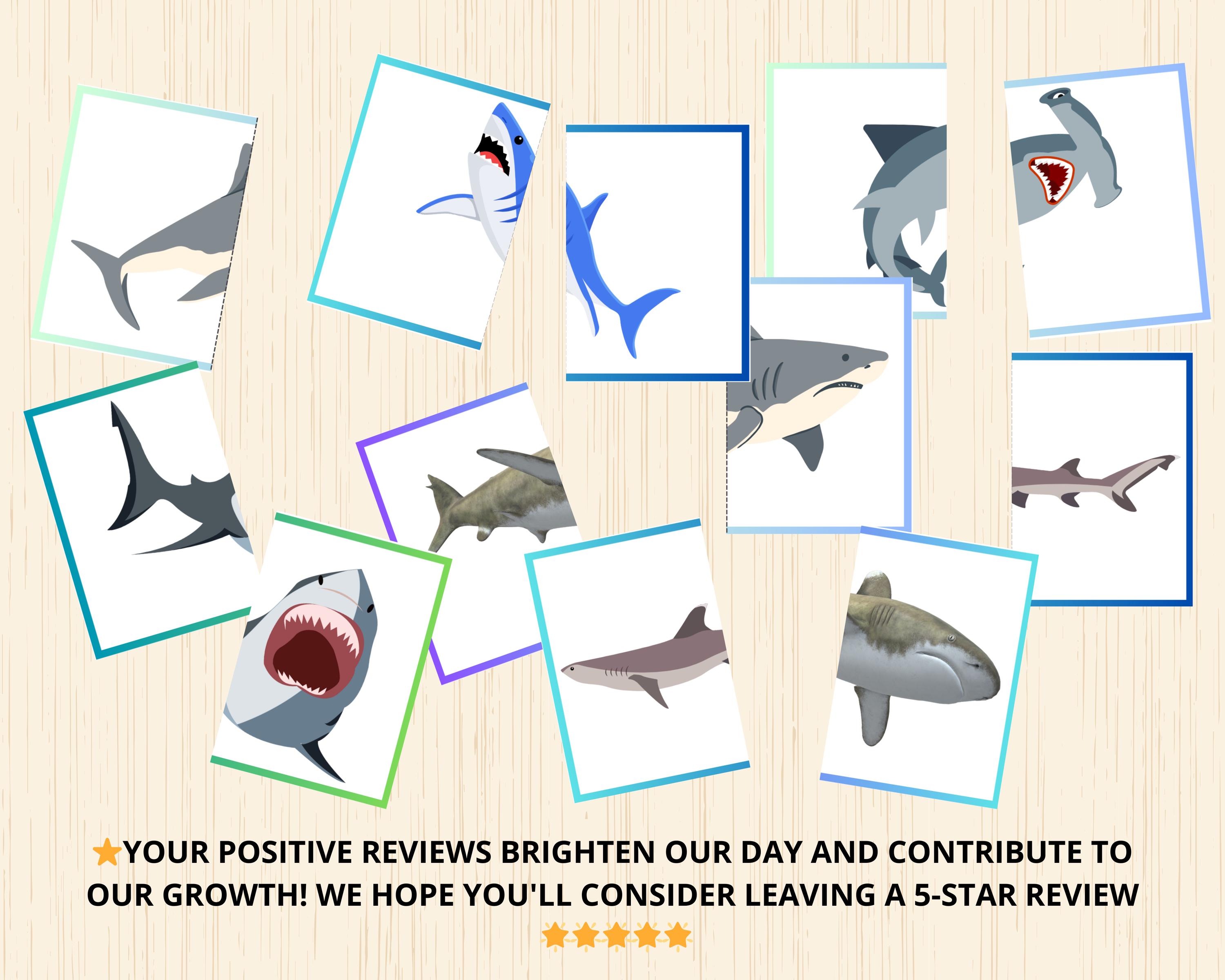 Shark Symmetry Puzzles,summer Matching Activity,visual Skills,animal ...