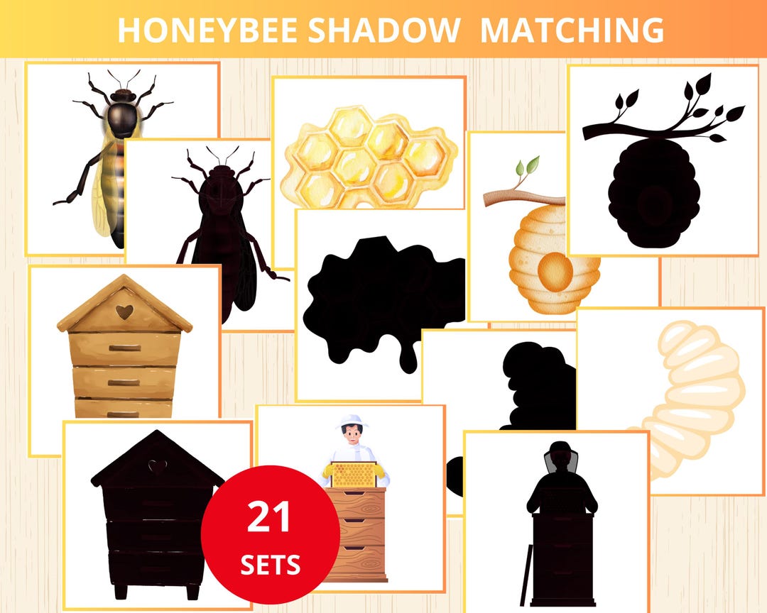 Honeybee Shadow Matching Cards,bee Flashcards,nature Flashcards,bee ...