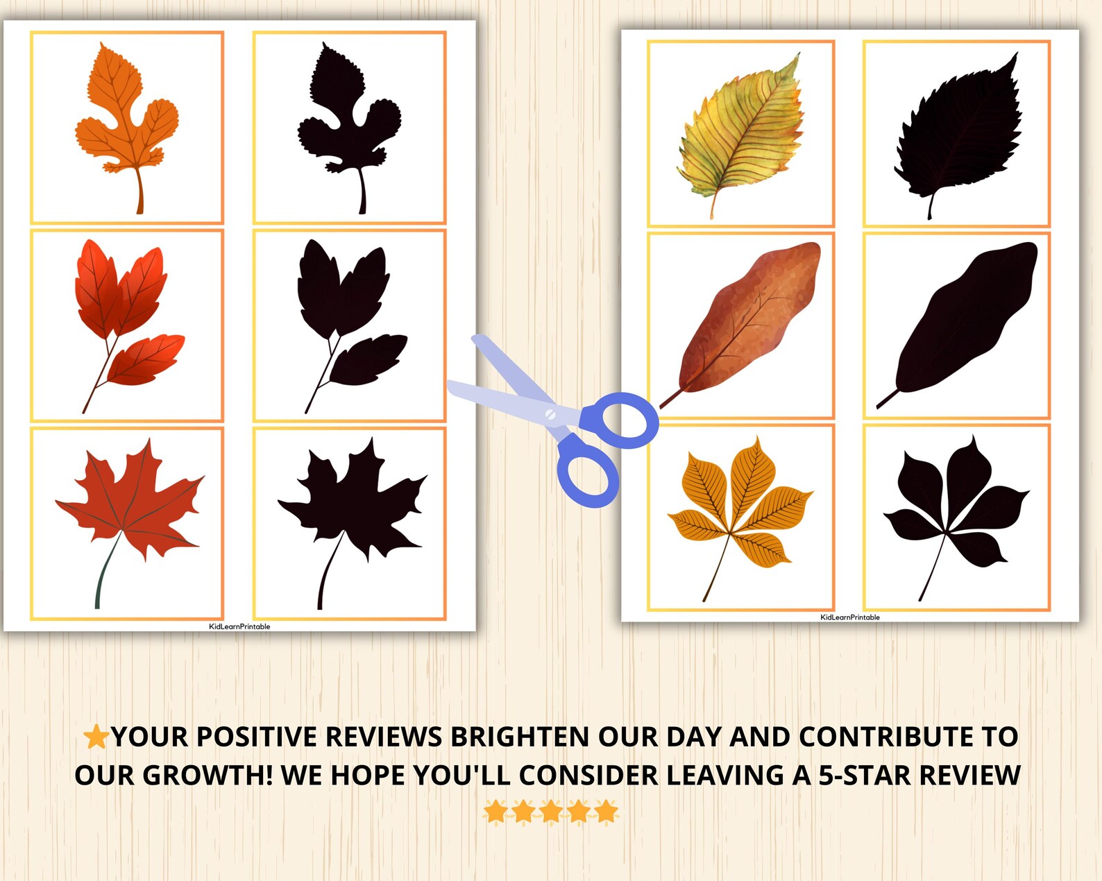 Fall Matching Activities, Autumn Leaves,shadow Matching Game,fall ...