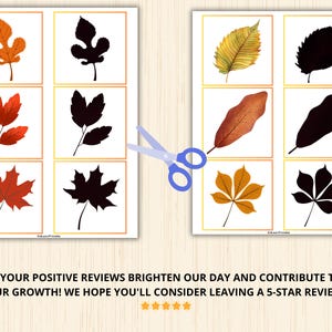 Fall Matching Activities, Autumn Leaves Shadow Matching Game,fall ...