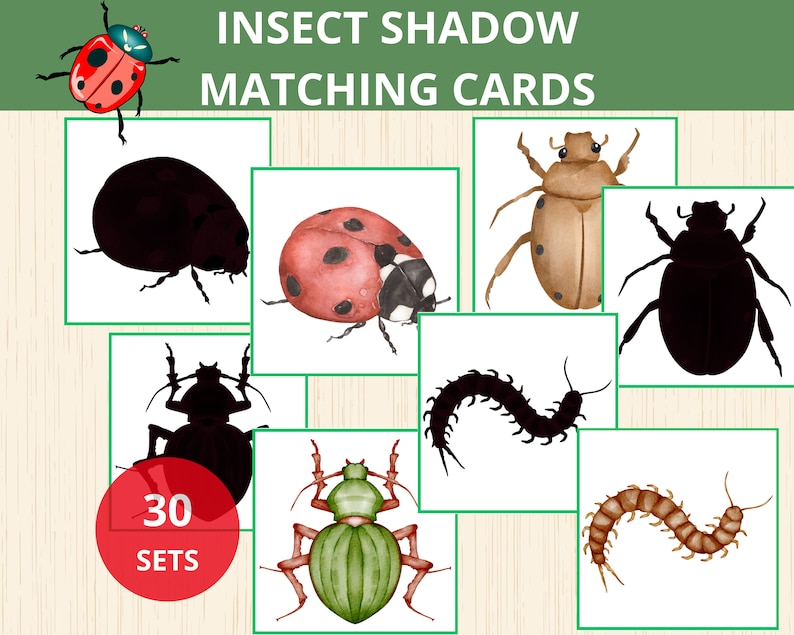 Insect Shadow Matching Cards,bug Shadow Matching, Preschool Insects ...