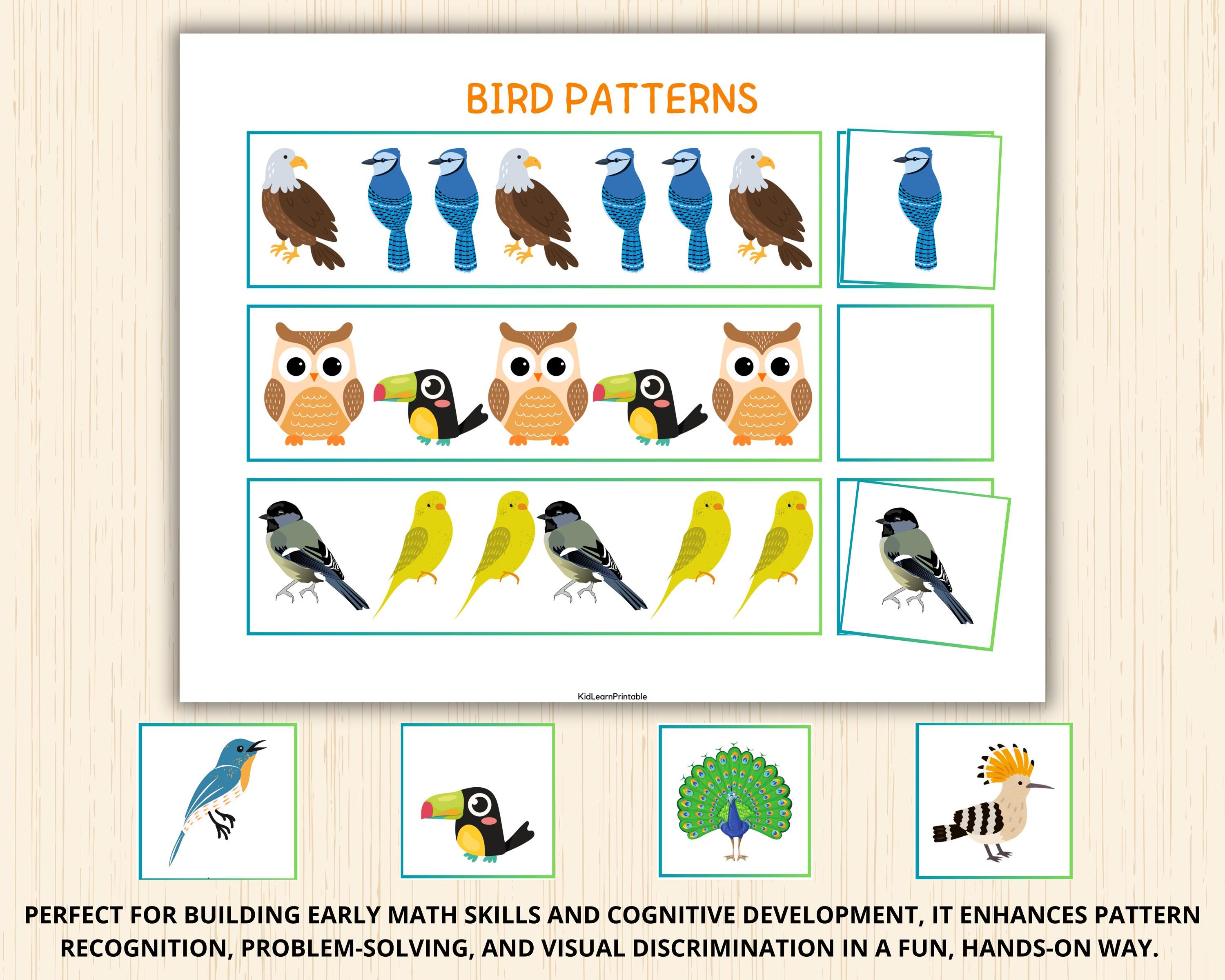 Bird Patterns,backyard Birds Activity,birds What Comes Next,pattern ...