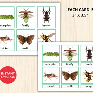 Insect Montessori Printable 3 Part Cards,bug Montessori 3 Part Cards ...