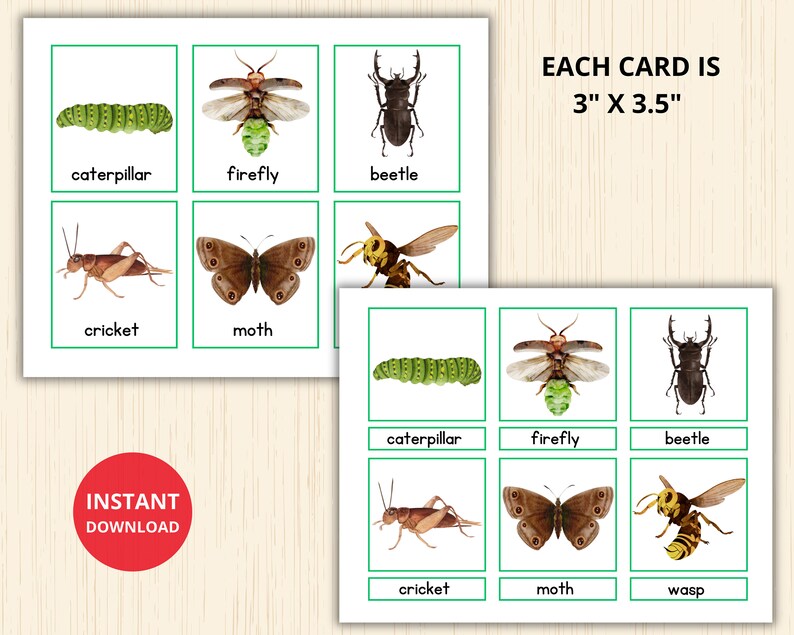 Insect Montessori Printable 3 Part Cards,bug Montessori 3 Part Cards ...