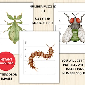 Insect Preschool,insect Number Puzzles,number Sequence,numbers 1-10 ...