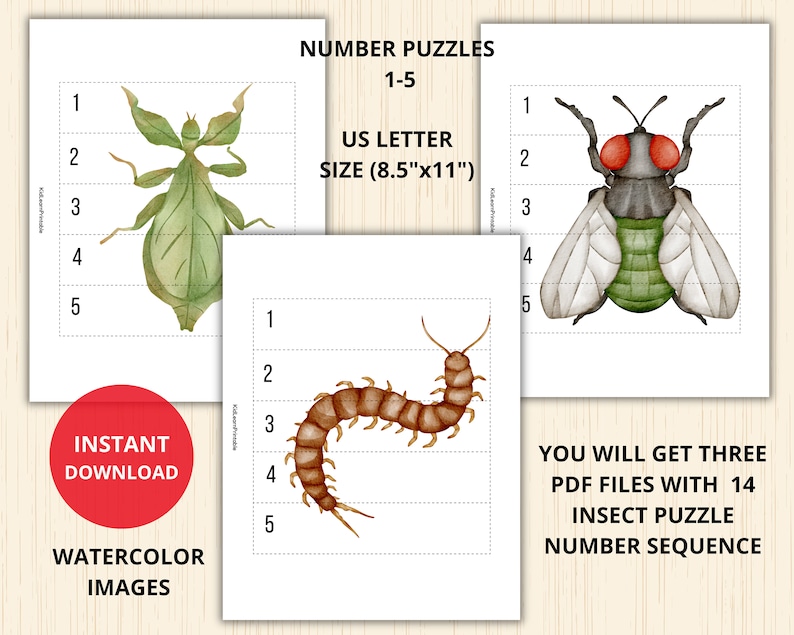 Insect Preschool,insect Number Puzzles,number Sequence,numbers 1-10 ...