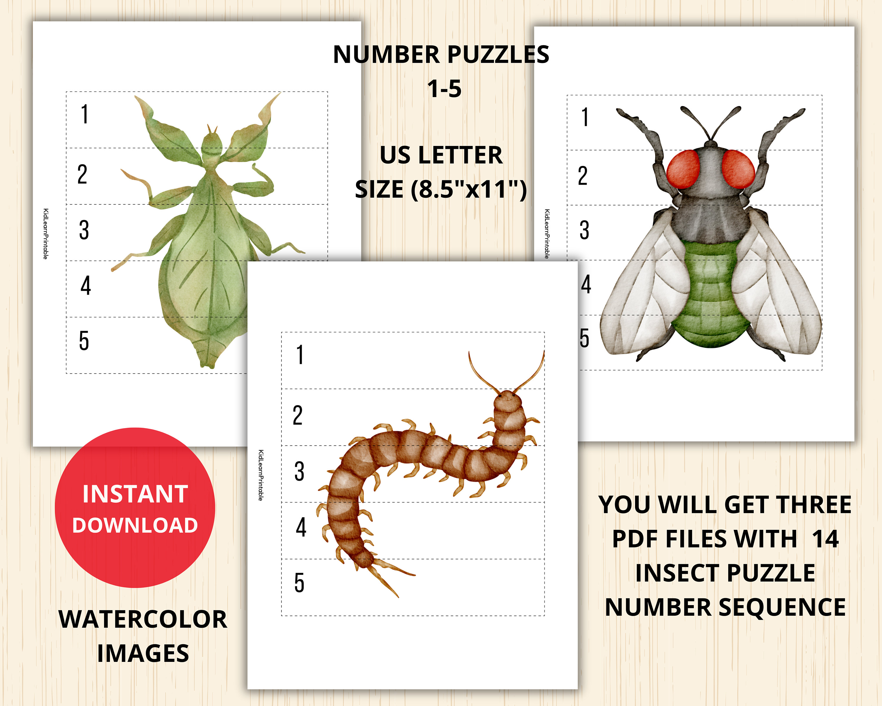 Insect Preschool,insect Number Puzzles,number Sequence,numbers 1-10 ...