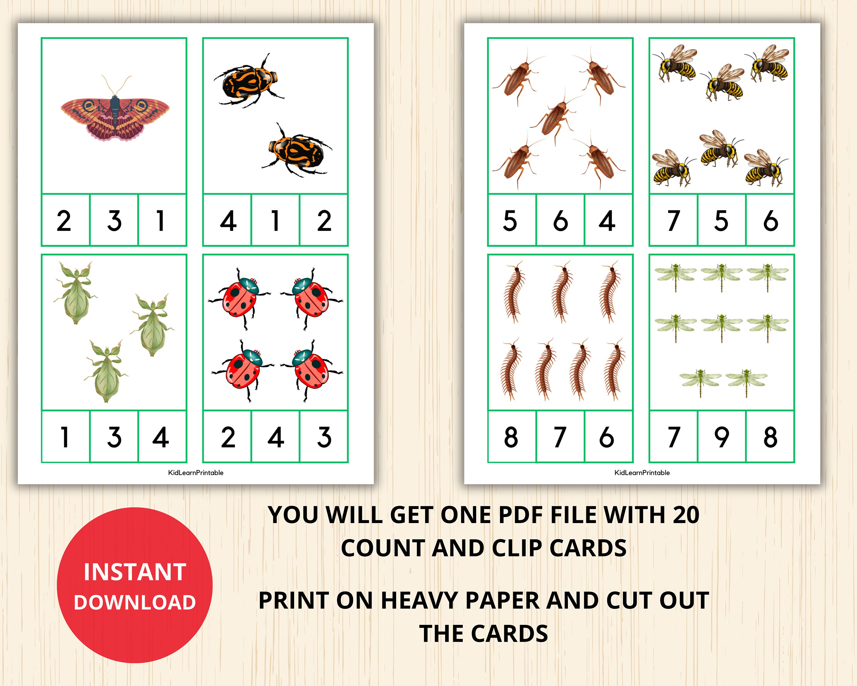 Insect Count and Clip Cards,numbers 1-20,insect Montessori,counting ...