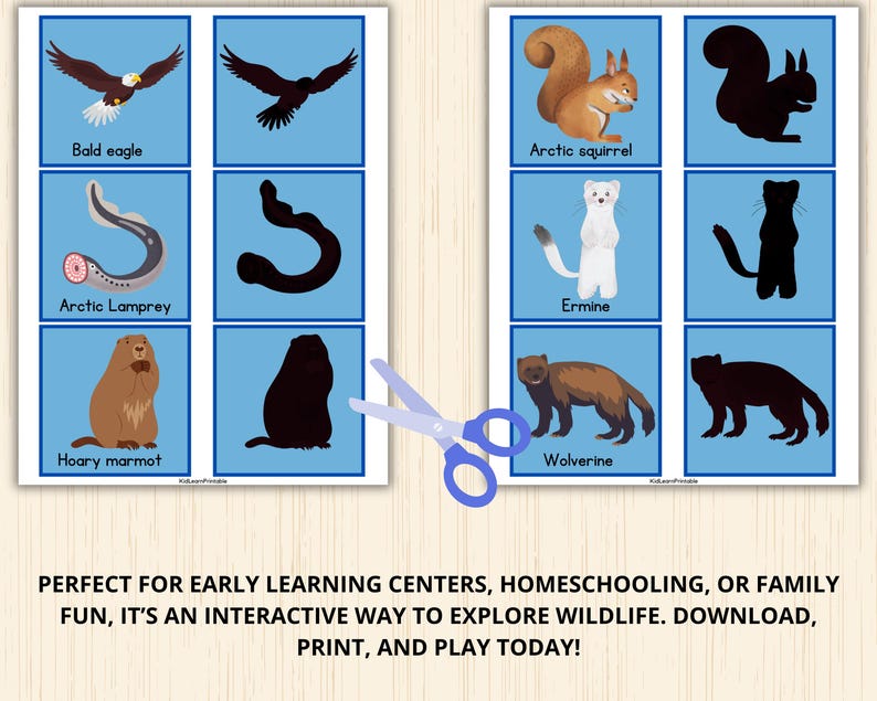 Arctic Animals Shadow Matching,north Pole Animals,winter Matching ...