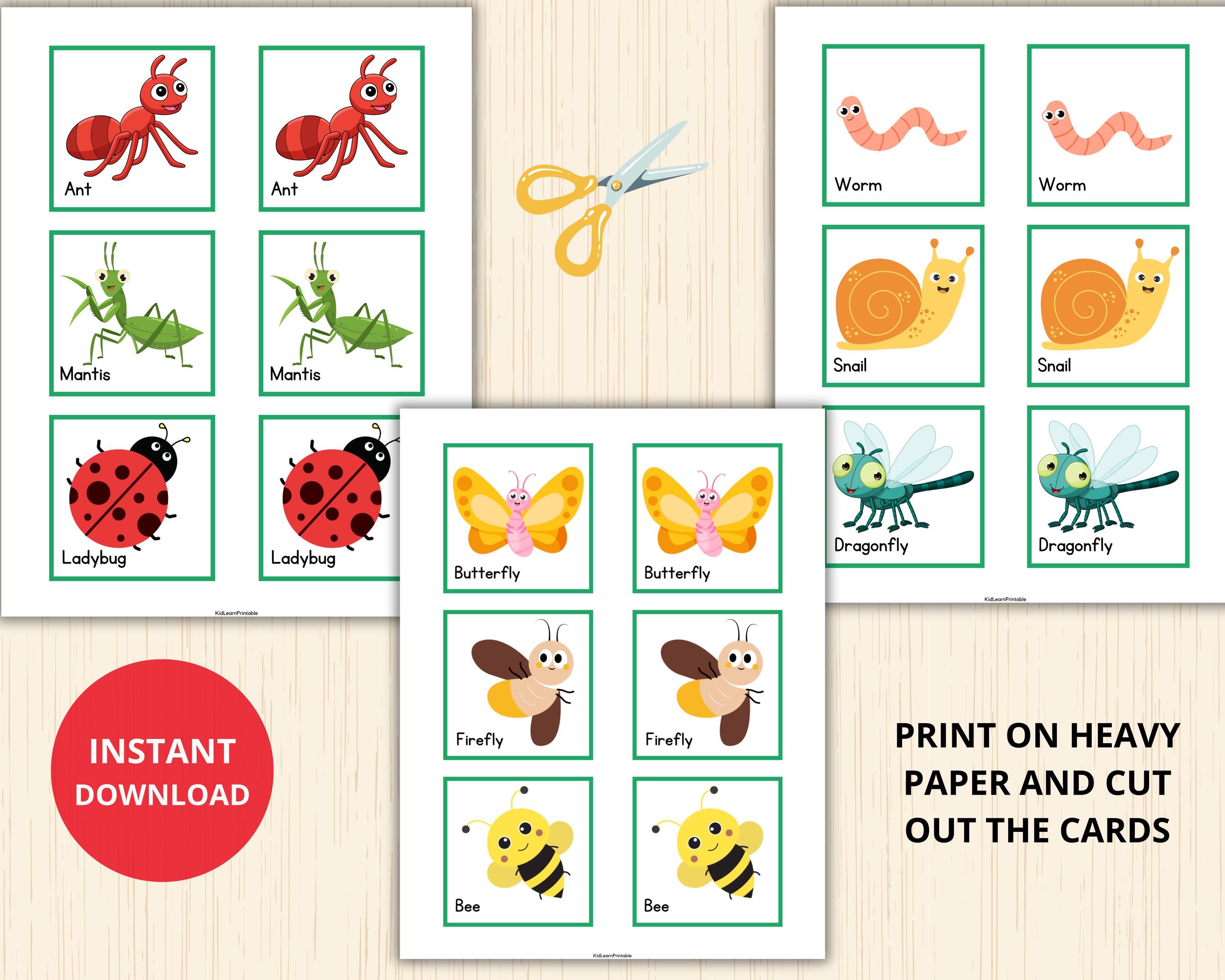 Bug Memory Game,insect Matching Game,bug Memory Cards,montessori Bugs ...