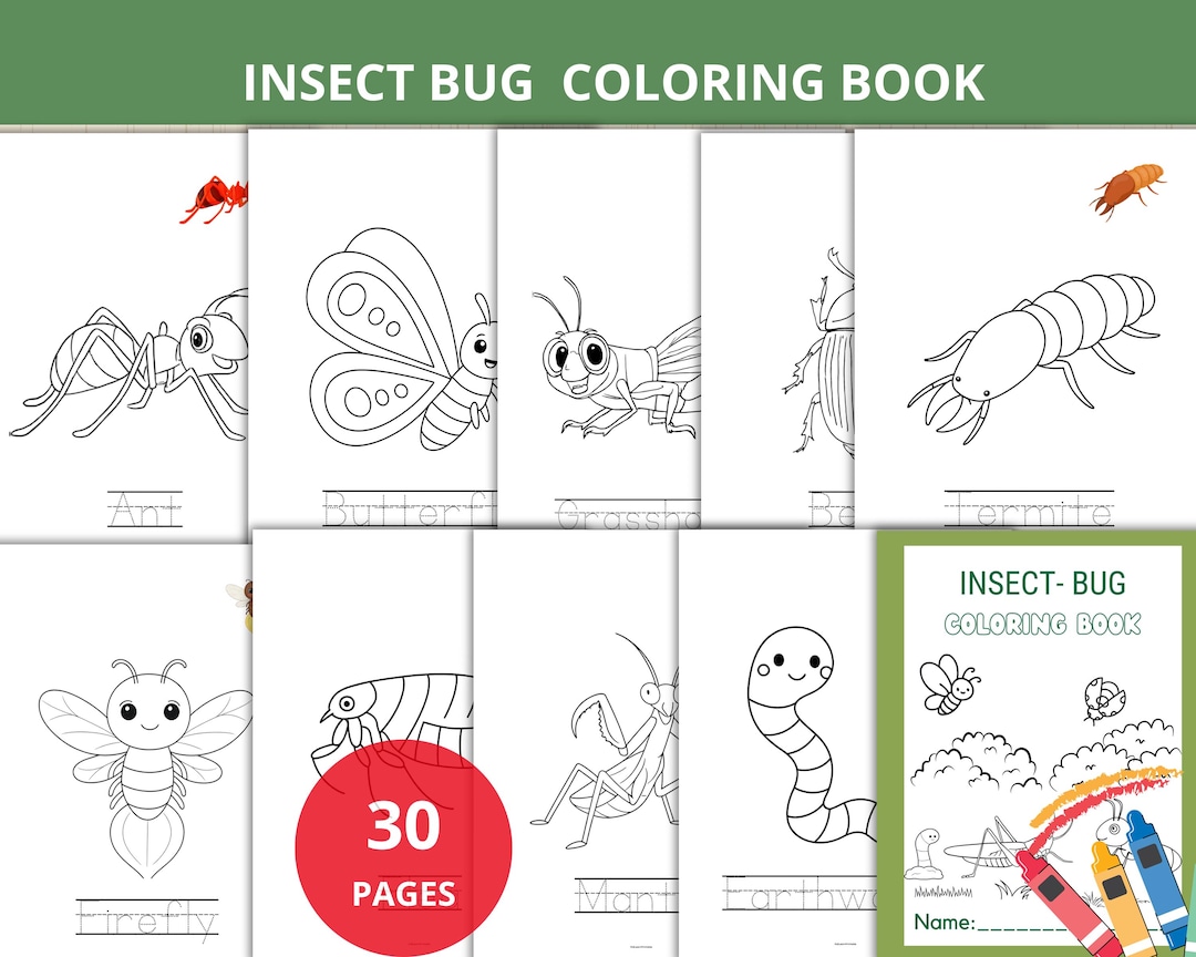 Insect Coloring Book,bug Coloring Pages,bug Activity for Kids,insect ...