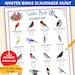 Winter Birds Scavenger Hunt,winter Birds Identification,bird Scavenger ...