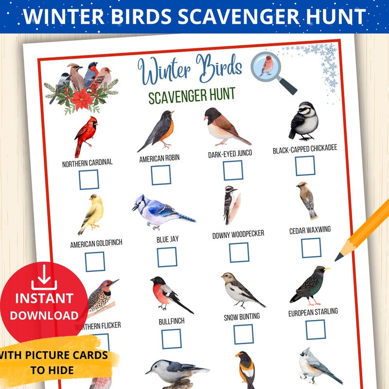 Winter Birds - Etsy