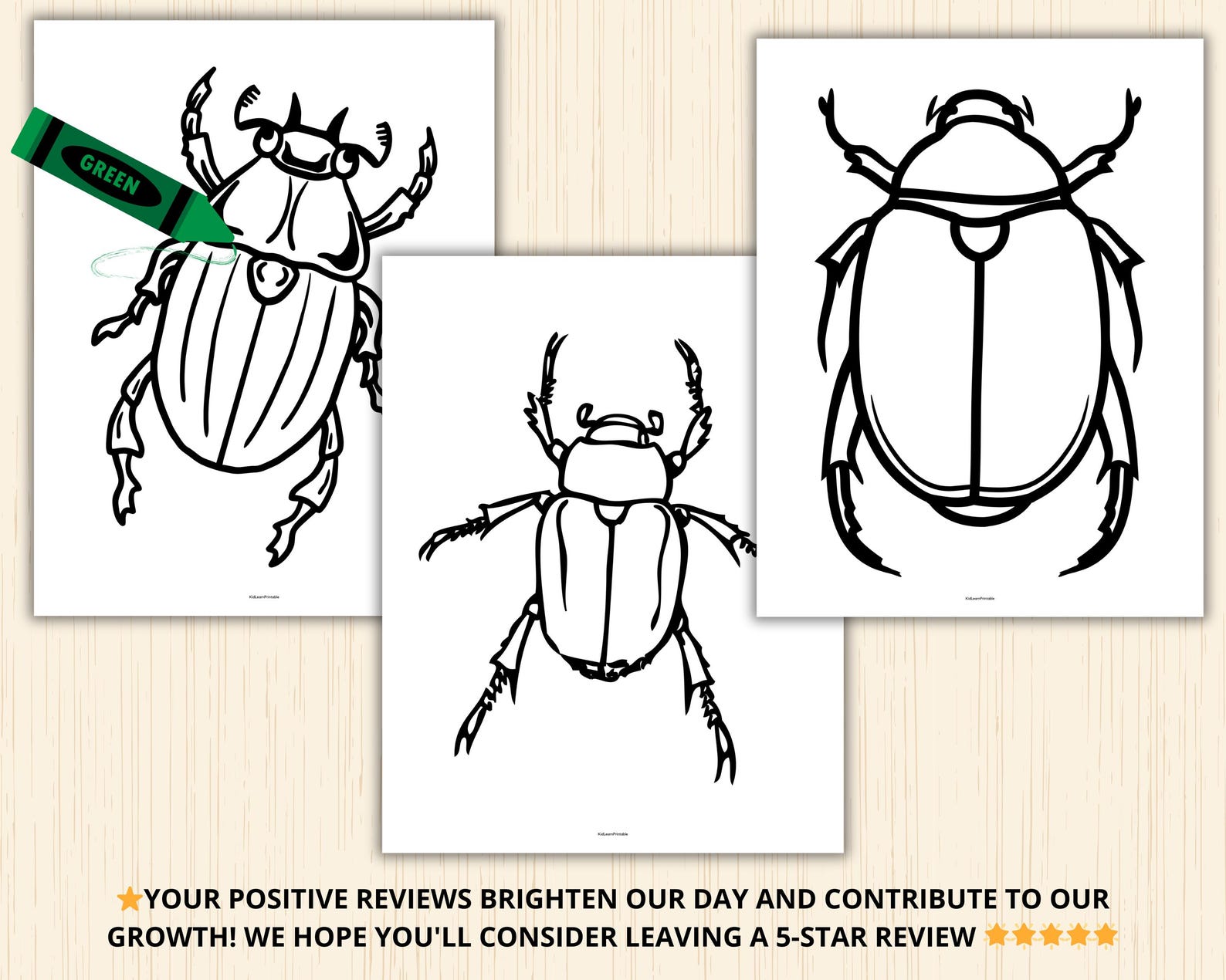 Beetles Coloring Pages,beetle Coloring Sheets,beetle Unit Study,insects ...