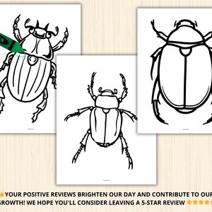 Beetles Coloring Pages,beetle Coloring Sheets,beetle Unit Study,insects ...