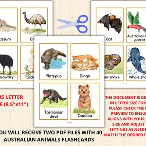 Australian Animal Flashcards,australia Flash Cards,australia Montessori ...