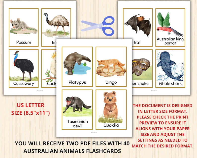 Australian Animal Flashcards,australia Flash Cards,australia Montessori ...