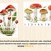 Preschool Autumn,mushroom Puzzle Number Sequence,mushroom Number ...
