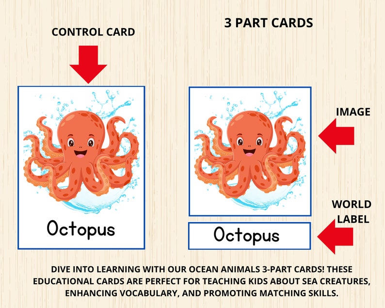 Ocean Montessori 3 Part Cards,sea Animals Vocabulary Cards,ocean Animal ...