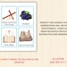 Easter Story Flashcards,religeous Easter Flash Cards,christian Easter ...