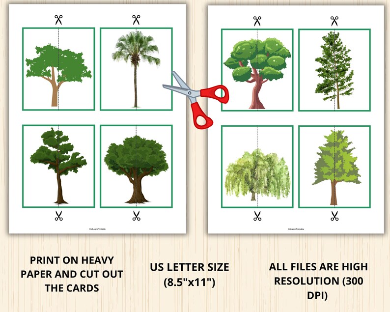 Tree Matching,tree Puzzle,trees Halves Matching,nature Preschool,spring ...