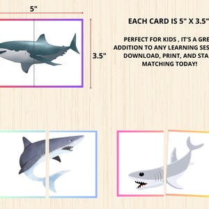 Shark Symmetry Puzzles,summer Matching Activity,visual Skills,animal ...