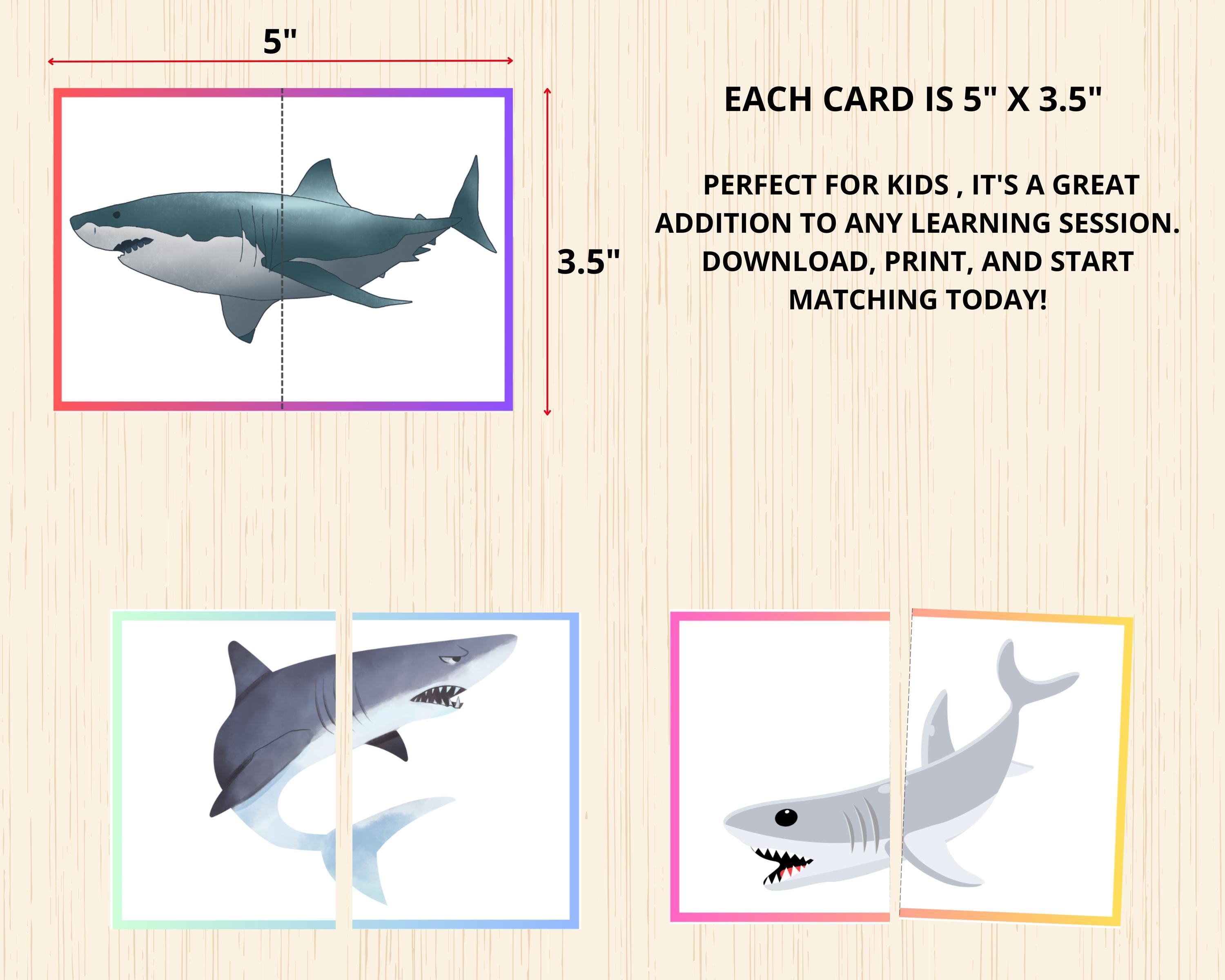 Shark Symmetry Puzzles,summer Matching Activity,visual Skills,animal ...