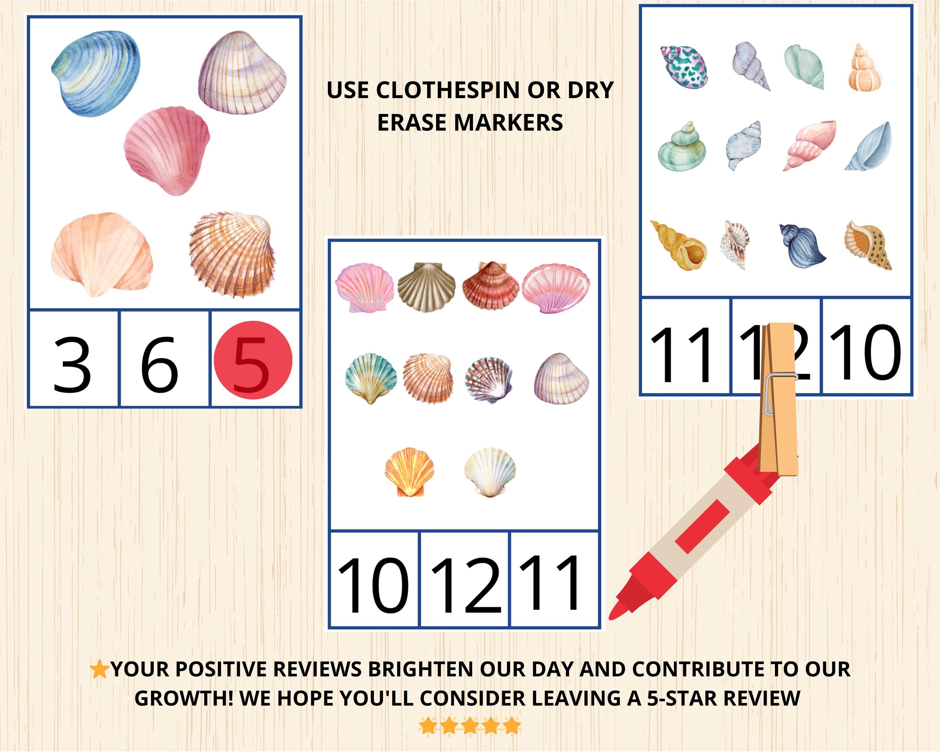 Seashell Count and Clip Card,summer Count & Clip Card,shells Counting ...