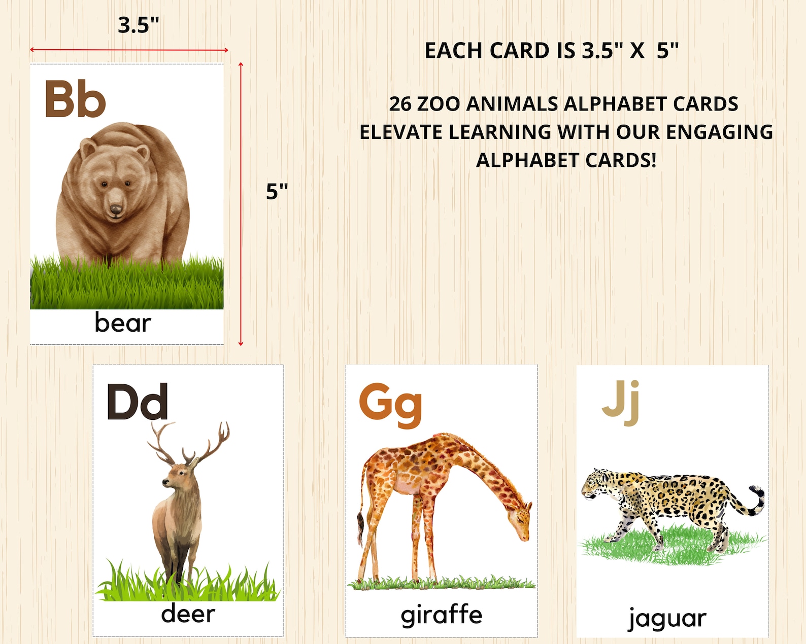 Zoo Animal Alphabet Cards,animals Flashcards,animals Montessori,safari ...