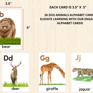 Zoo Animal Alphabet Cards,animals Flashcards,animals Montessori,safari ...