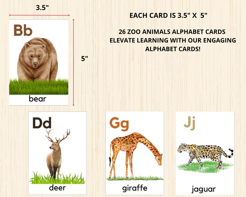 Zoo Animal Alphabet Cards,animals Flashcards,animals Montessori,safari ...