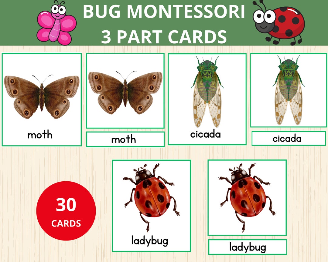 Insect Montessori Printable 3 Part Cards,bug Montessori 3 Part Cards ...