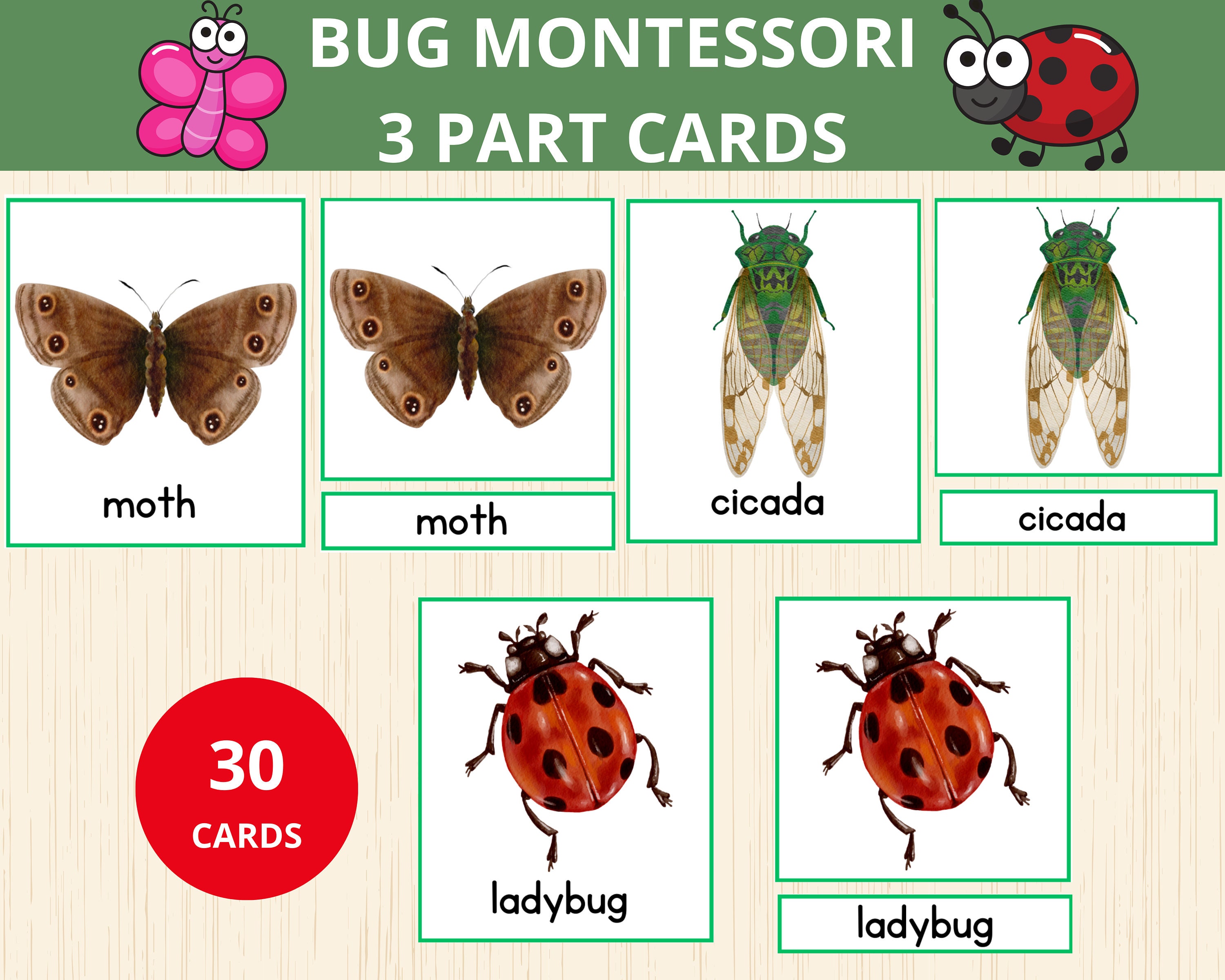 Insect Montessori Printable 3 Part Cards,bug Montessori 3 Part Cards ...