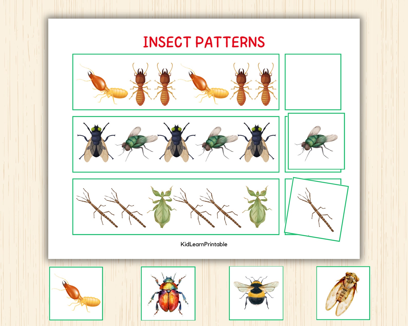 Insect Patterns,insect Activity,cut and Paste Patterns,preschool ...