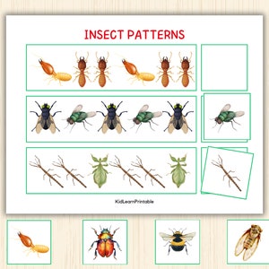 Insect Patterns,insect Activity,cut and Paste Patterns,preschool ...