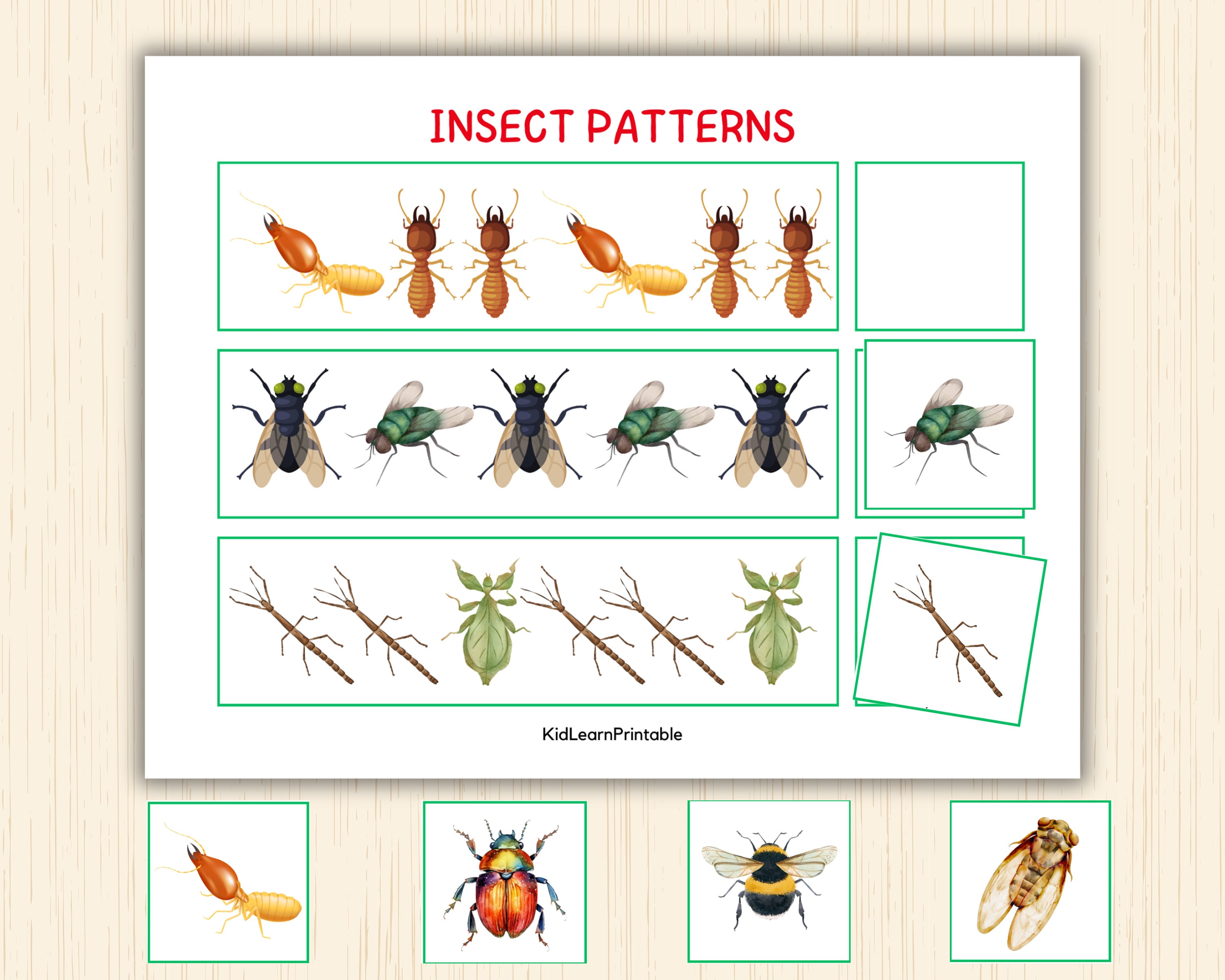 Insect Patterns,insect Activity,cut and Paste Patterns,preschool ...