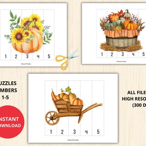 Pumpkin Number Sequence Puzzles,autumn Activity,fall Preschool,counting ...