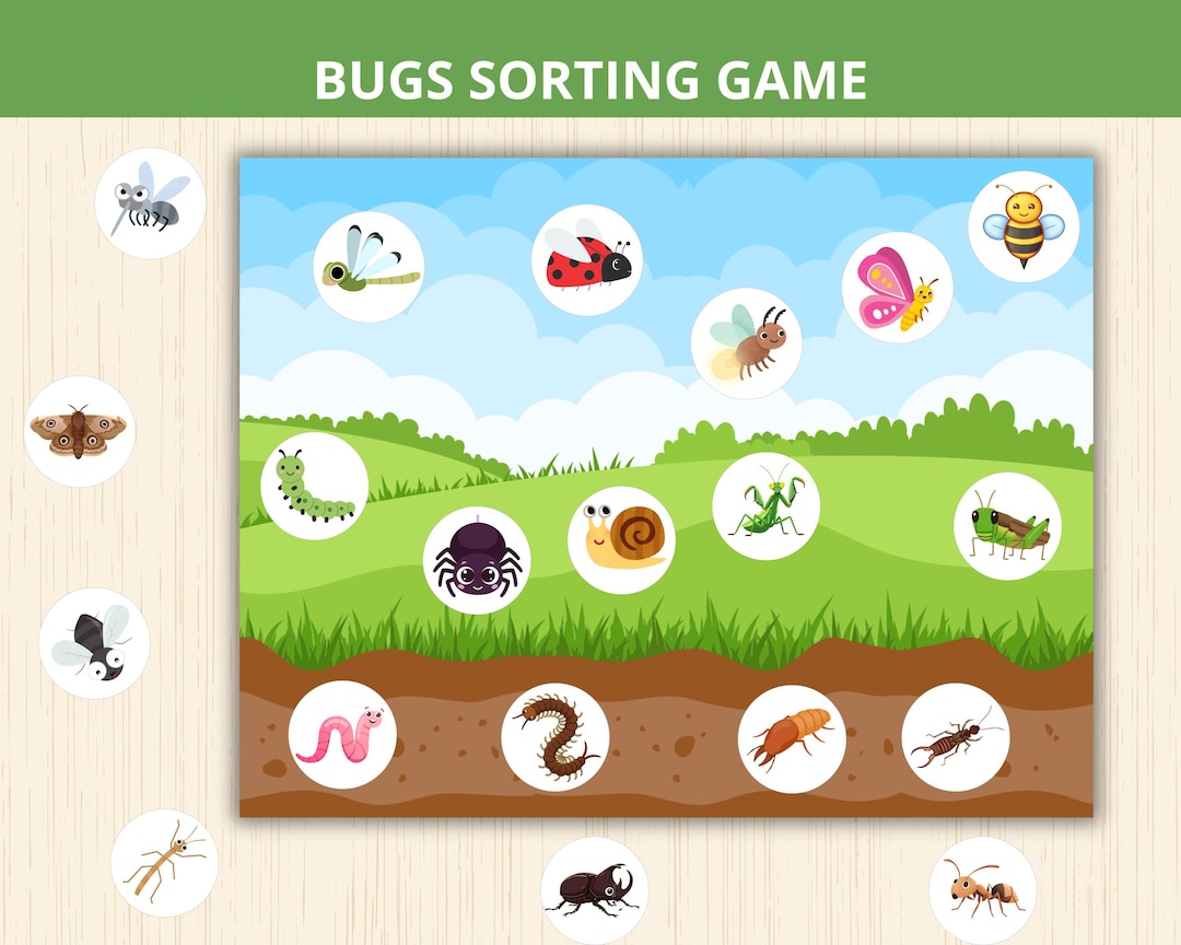 Bugs Sorting Activity,bug Habitat Activity,bug Classification Game ...