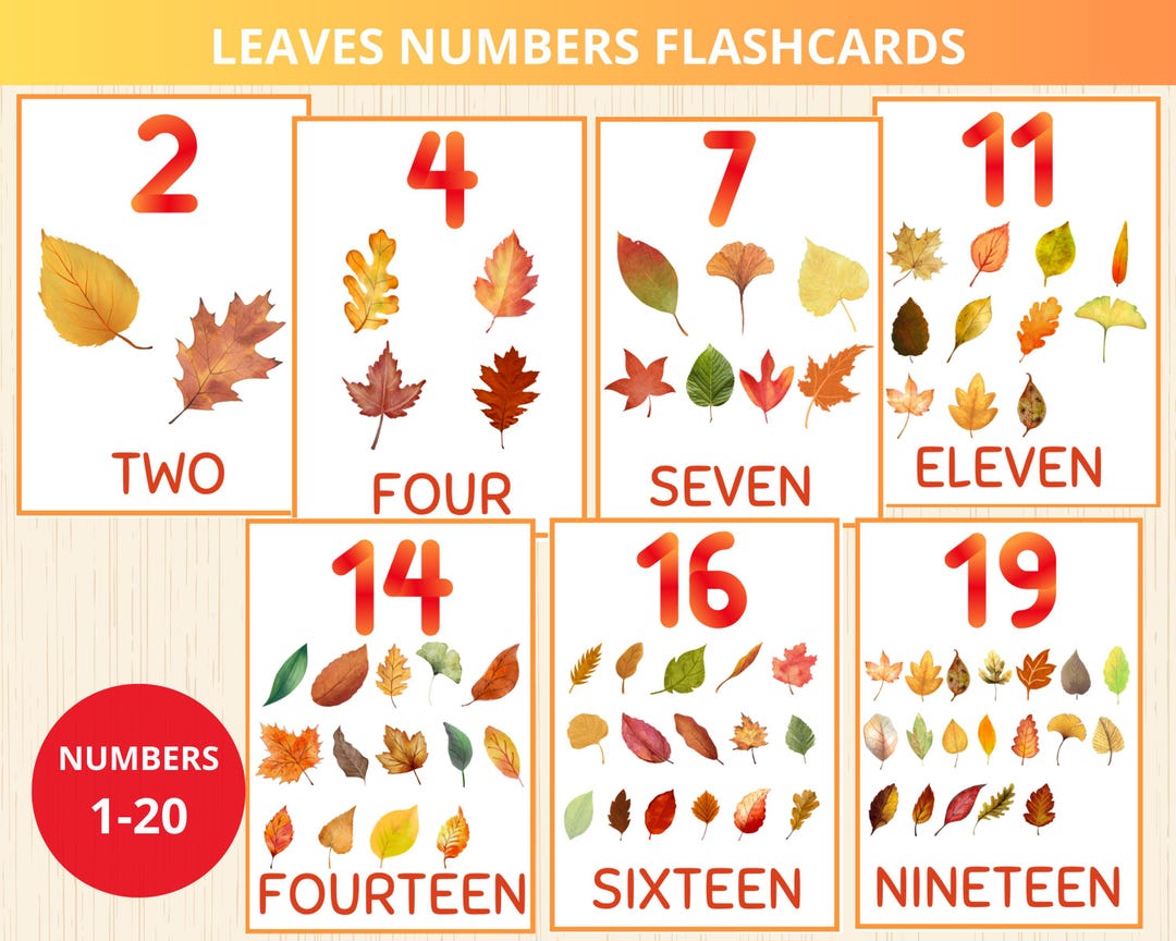 Leaves Numbers Flashcards,autumn Leaf Number,autumn Counting Card,fall ...