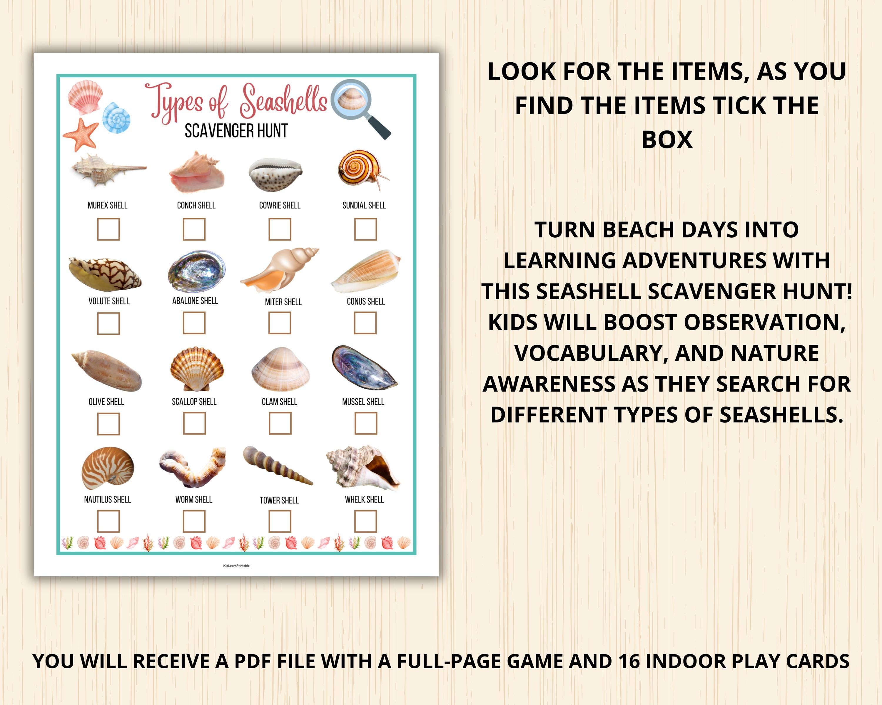 Seashell Scavenger Hunt,ocean Treasure Hunt,ocean Scavenger Hunt ...