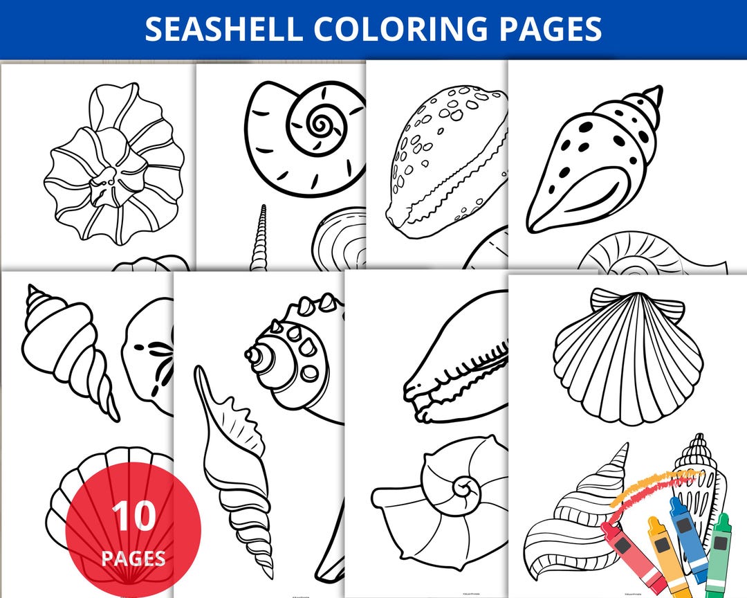 Seashell Coloring Pages,ocean Coloring Sheets,beach Coloring Page ...