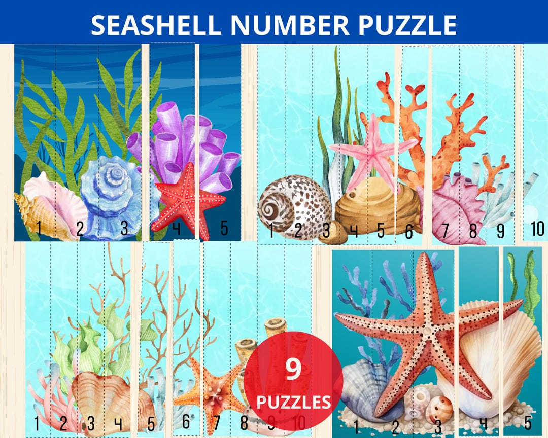 Seashell Number Puzzle,seashell Counting Game,ocean Animal Number ...